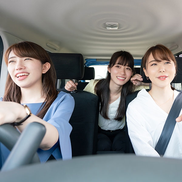 Engine order canceller | Solutions | Audio & Voice DSPs | Products ...